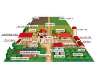 farm layout | PPT