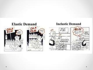 Elasticity of Demand, Price and Income- Micro and Macro Economics | PPTX