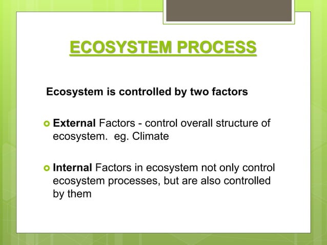 ECO SYSTEM COMMUNITY HEALTH NURSING | PPTX | Biological Sciences | Science