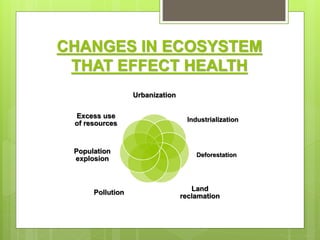 ECO SYSTEM COMMUNITY HEALTH NURSING | PPTX
