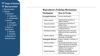Ecology-Macroevolution | PPTX | Genetics | Science