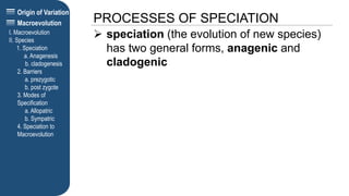 Ecology-Macroevolution | PPTX | Genetics | Science