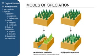 Ecology-Macroevolution | PPTX | Genetics | Science
