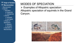 Ecology-Macroevolution | PPTX | Genetics | Science