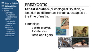Ecology-Macroevolution | PPTX | Genetics | Science