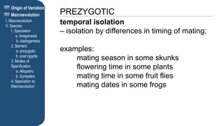 Ecology-Macroevolution | PPTX | Genetics | Science