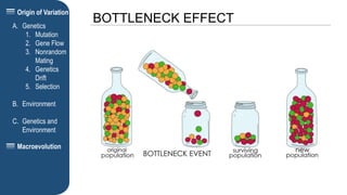 Ecology-Variation | PPT