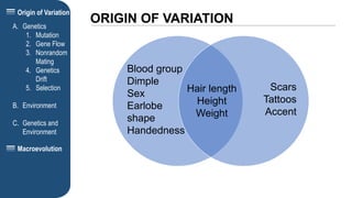 Ecology-Variation | PPT