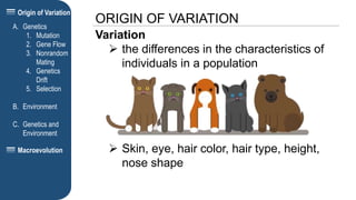 Ecology-Variation | PPTX