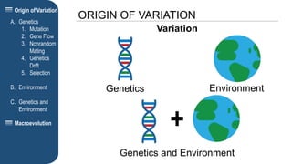 Ecology-Variation | PPTX