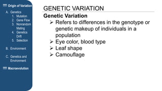 Ecology-Variation | PPTX