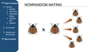 Ecology-Variation | PPTX