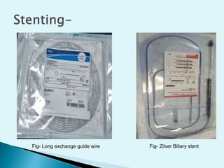 Presentation editing.pptx | Blood Disorders | Diseases and Conditions