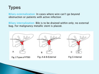 Presentation editing.pptx | Blood Disorders | Diseases and Conditions