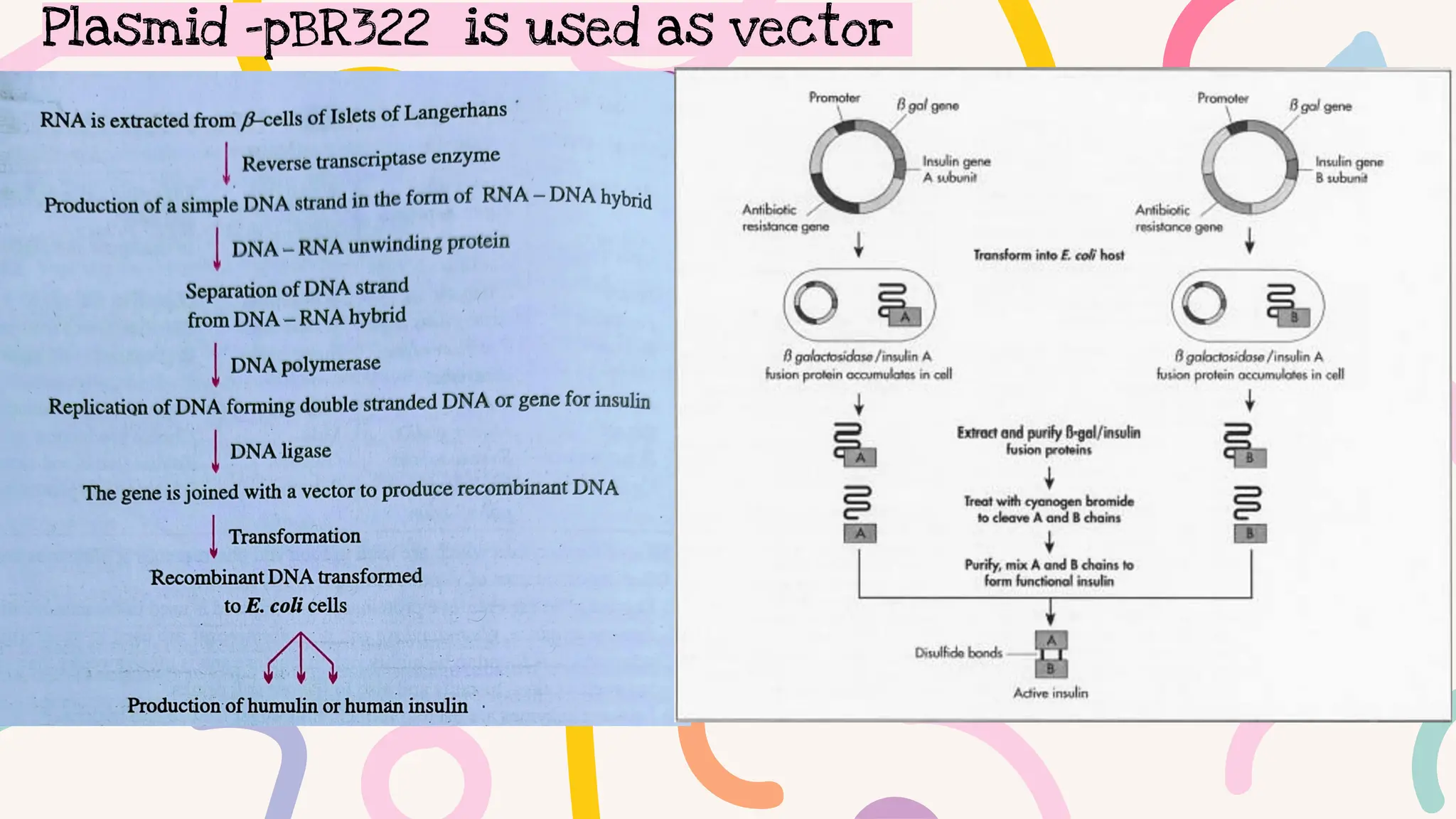 Genetic engineering and its application 1.pdf