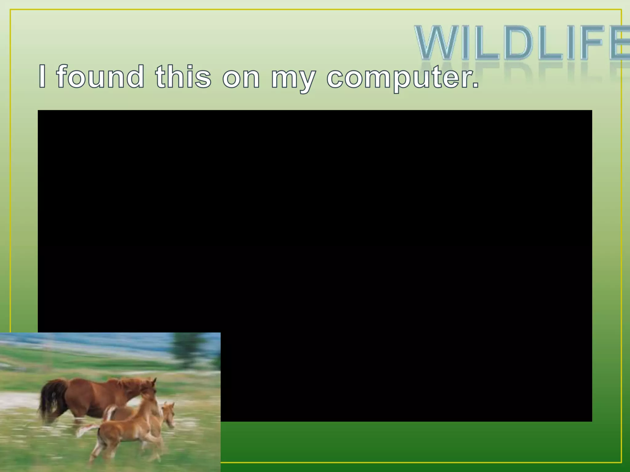 Presentation edutech | PPTX