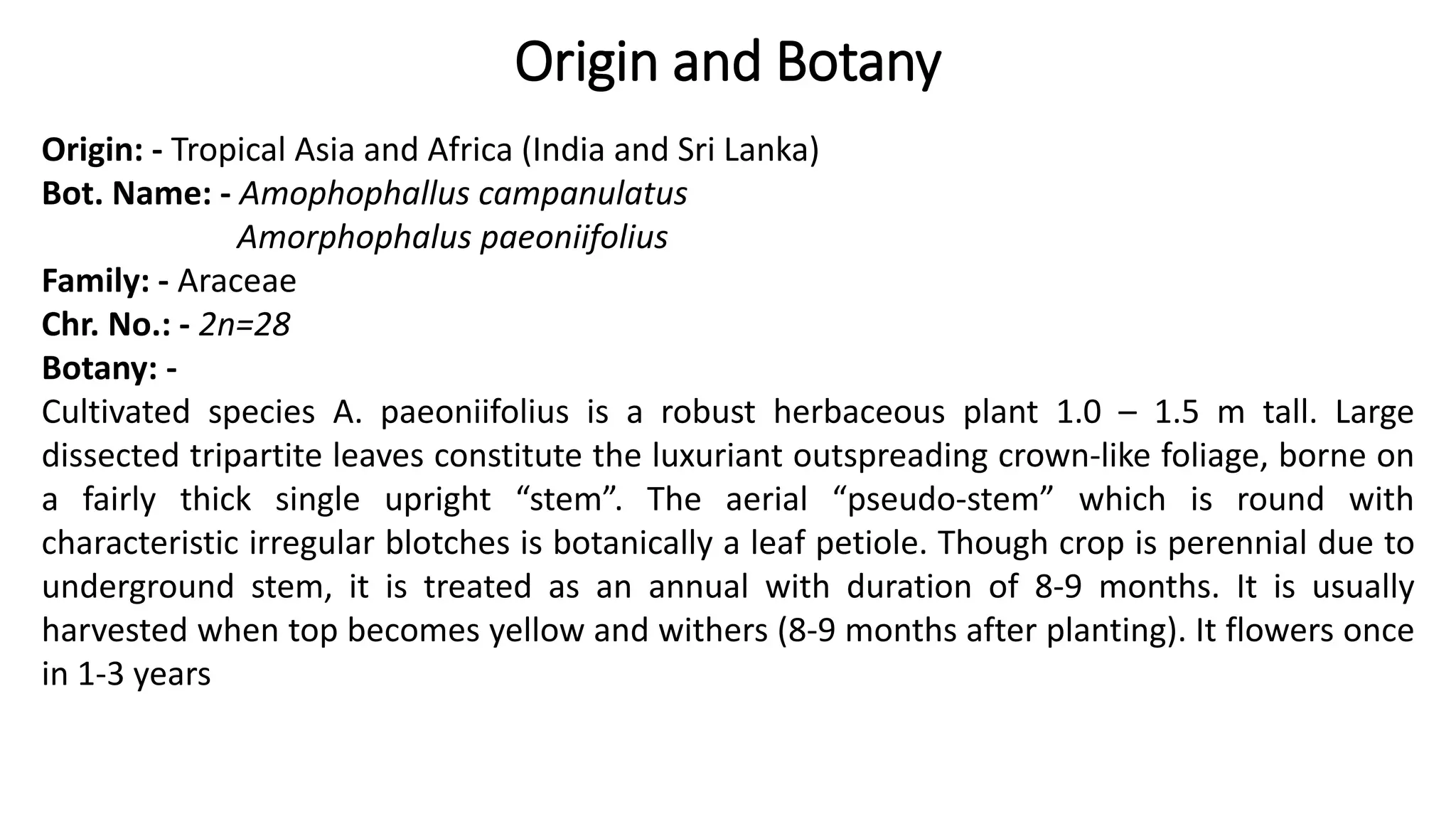 Scientific Cultivation of Elephant Foot Yam (Amophophallus campanulatus ...