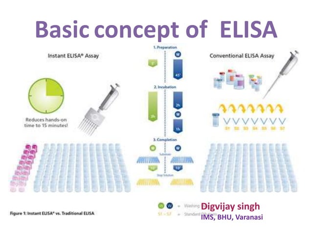 Presentation elisa ppt | PPT