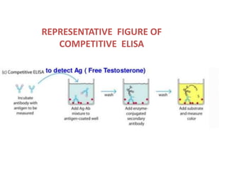 Presentation elisa ppt | PPT