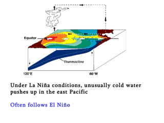 Presentation El Nino | PPT
