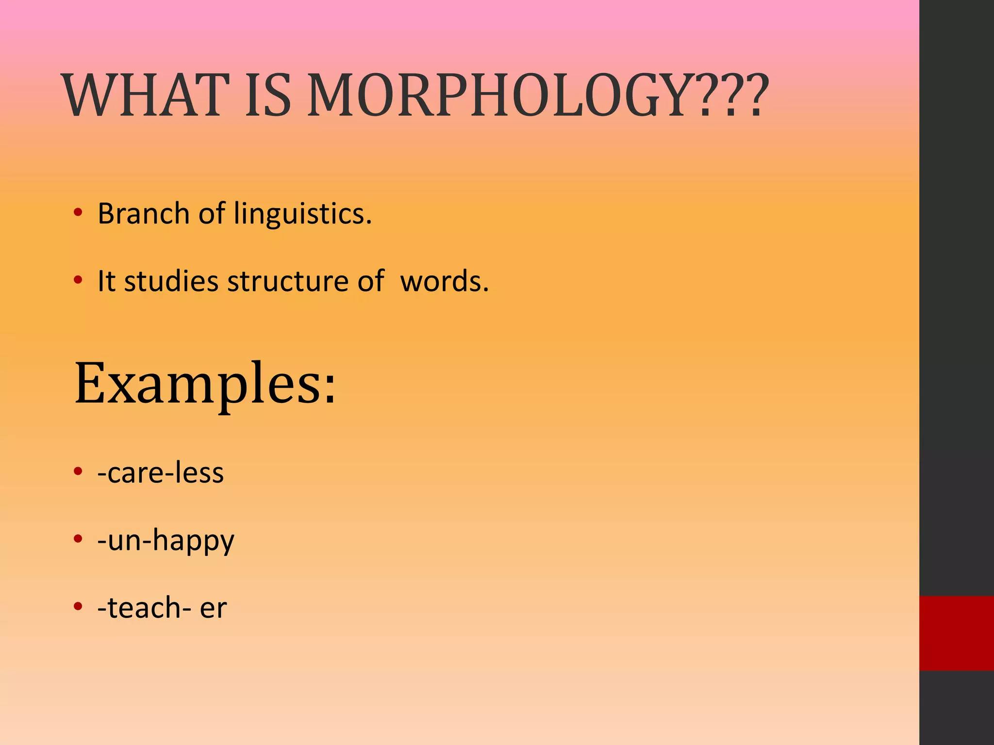 what is morphology? | PPT