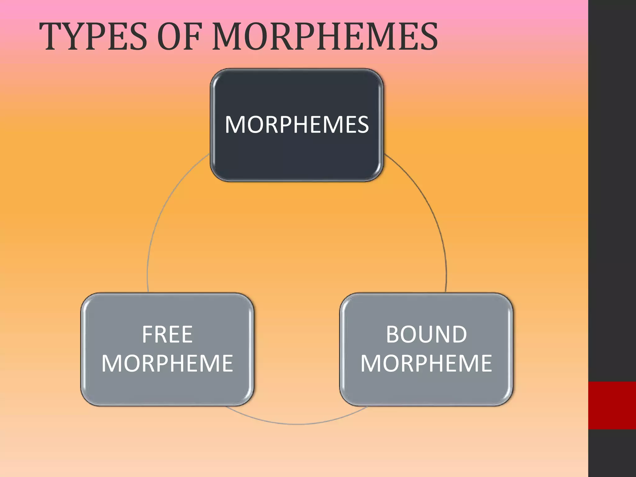 what is morphology? | PPT