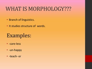 what is morphology? | PPTX