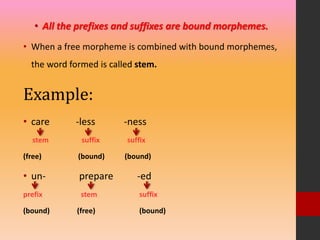 what is morphology? | PPT
