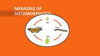 metamorphosis by franz kafka and its morals | PPTX