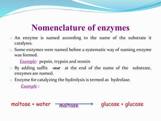 enzymes | PPT