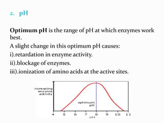 enzymes | PPT