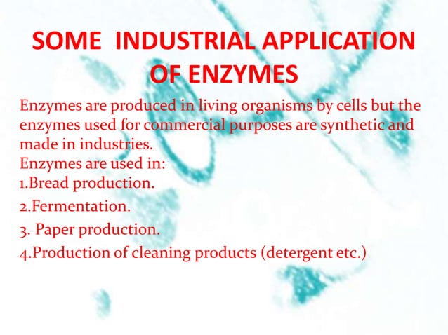enzymes | PPT