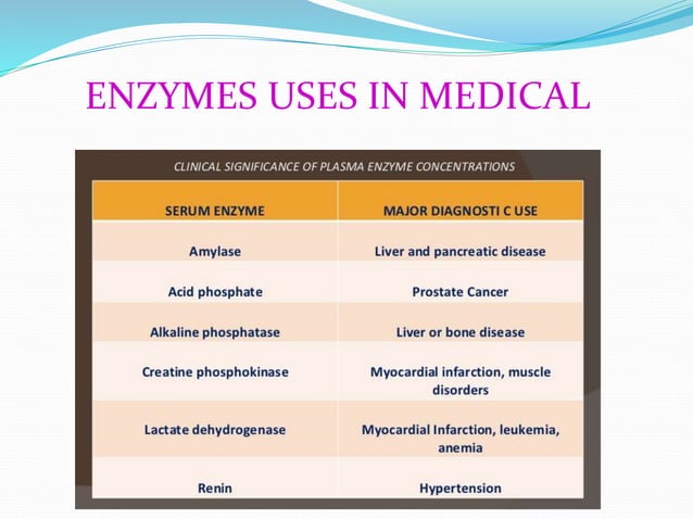 enzymes | PPT
