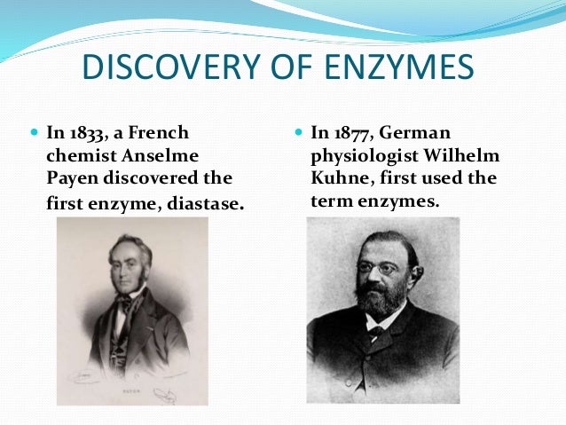 enzymes