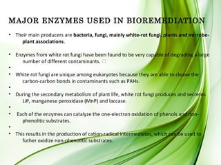 Role of enzymes in biorediation | ODP