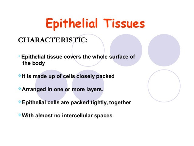 Presentation epithelial tissues..histology sem 2