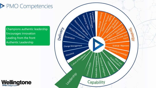Wellingtone - Developing Effective PMO Skills Like a Jedi - FuturePMO ...