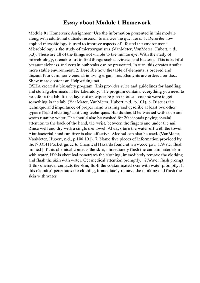 Presentation Essay Example.pdf