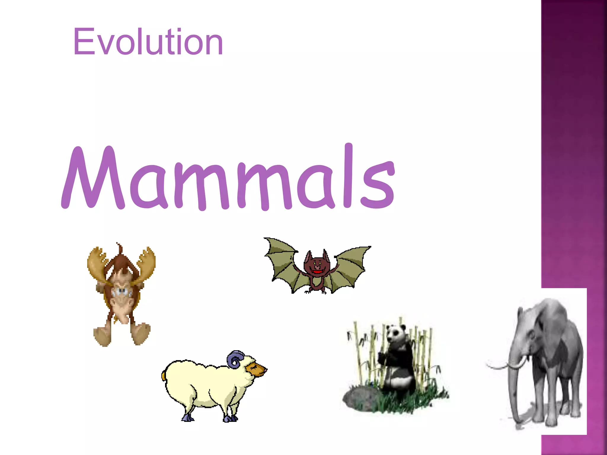 evolution of mammals by davendran | PPTX
