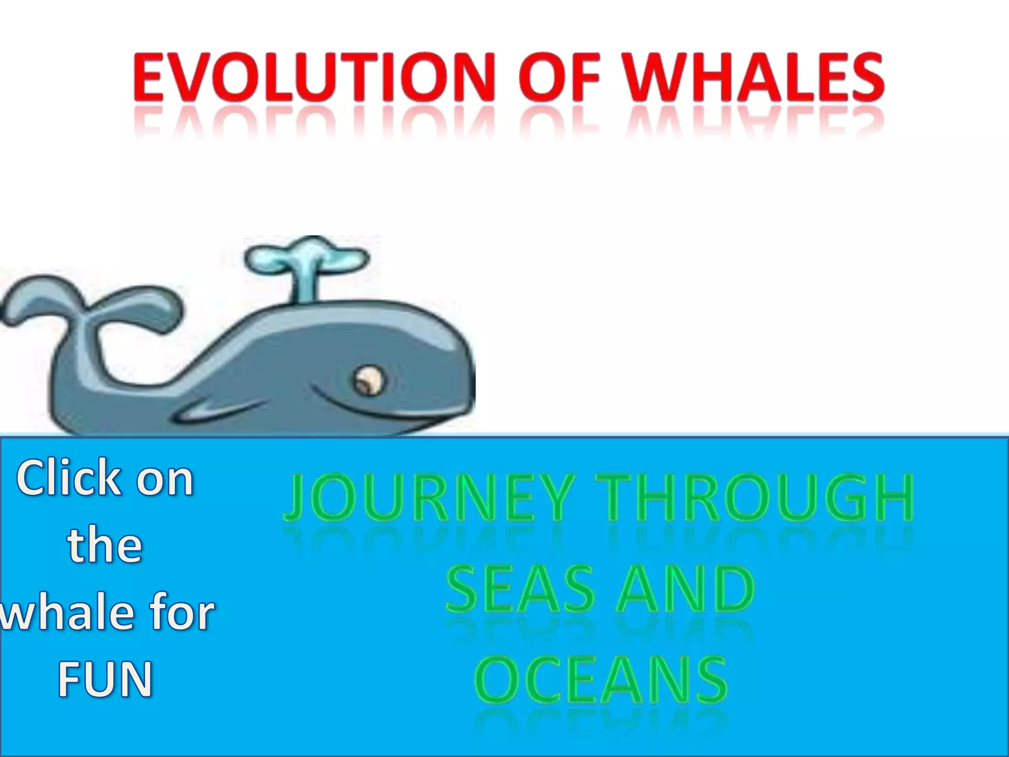 Presentation (evolution of whales) | PPTX