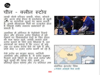 Presentation evs final | PPTX