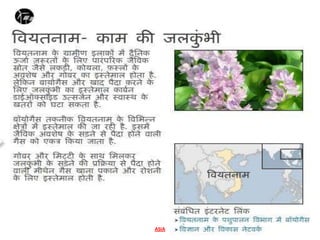 Presentation evs final | PPTX
