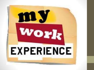 Work Experience Presentation example | PPTX