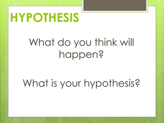 Scientific Method - Portfolio Presentation Example | PPTX