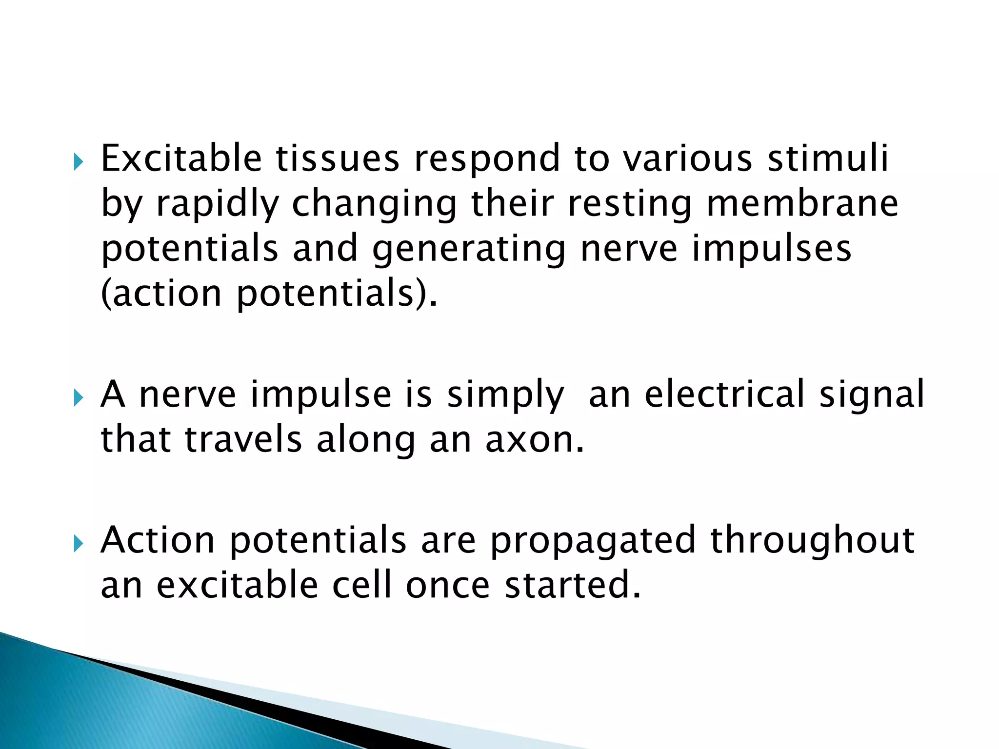 Presentation EXCITABLE TISSUES.pptx | Brain and Nervous System ...