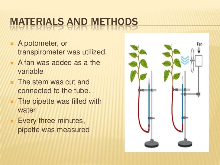 Presentation exp 2 bot