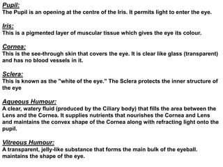 Structure of eye and instillation of opthalmic sol. in eye ppt | PPTX