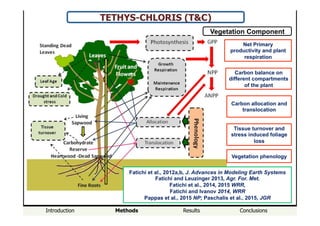 Simone Fatichi | PDF