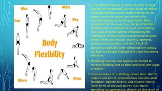 Presentation Fencing.pptx