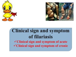 Presentation filariasis | PPTX